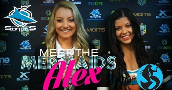 Mermaid Chat - Alex | Sharks