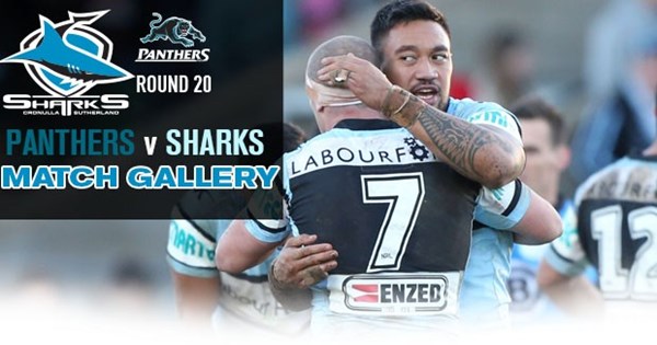 Match Gallery - Panthers v Sharks | Sharks