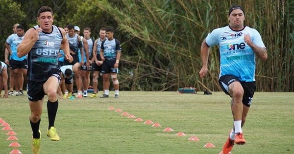 Open NRL Training - tomorrow!! | Sharks