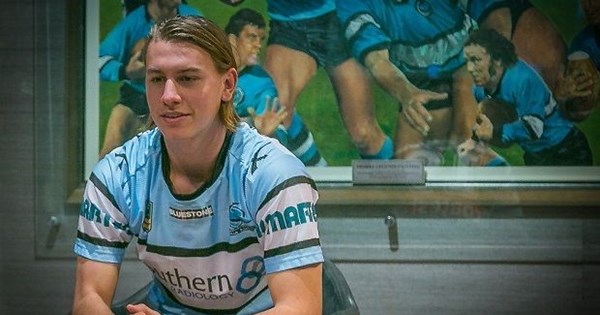 SON OF A GUN | Jack Rogers | Sharks