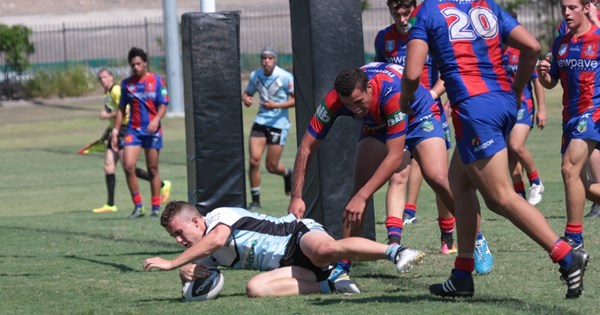 Finishing touches for junior Sharks | Sharks