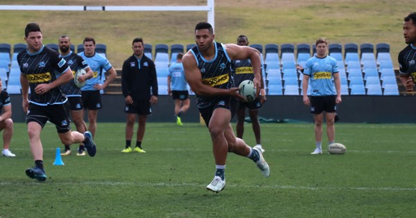 Training Gallery | Sharks