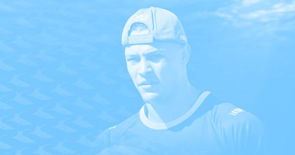 Under the Surface - Scott Sorensen | Sharks