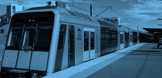 Sharks: Game Day Guide - Sharks