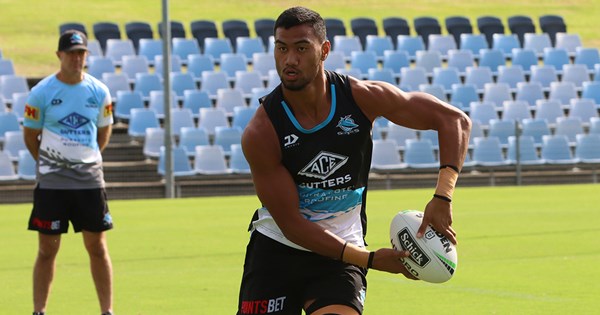Gallery: Five sleeps until Round 1 | Sharks