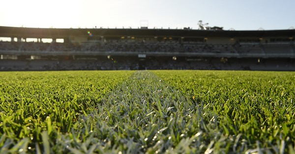 The Stadium - Sharks