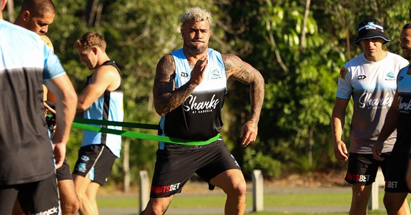 Sharks prepare for Magic Round | Sharks