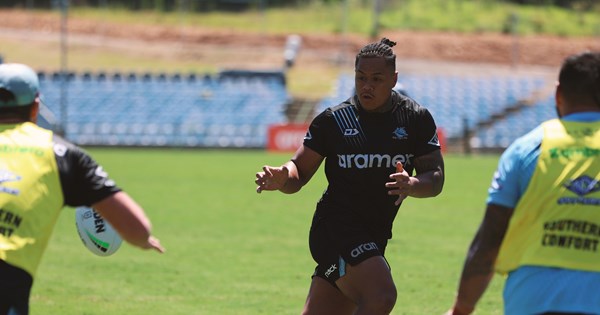 Tuning up for the trial | Sharks