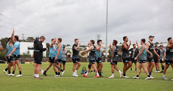 Sharks ice prep ahead of Knights trial | Sharks