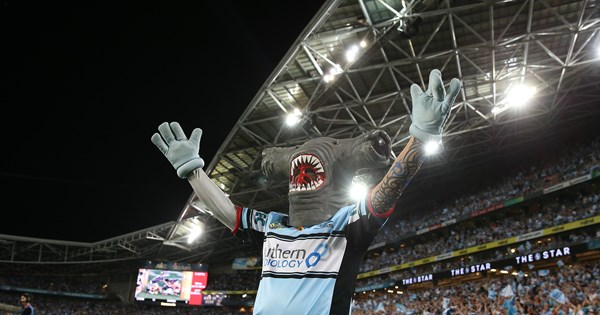 Beloved mascot ‘Hammerheads’ into retirement | Sharks