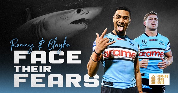 Sharks diving in support of youth homelessness | Sharks