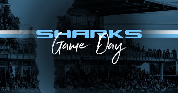 Sharks: Game Day Guide | Sharks