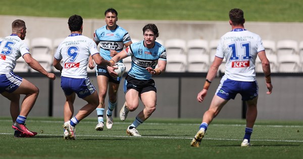 Flegg Sharks feel the Bulldogs bite | Sharks