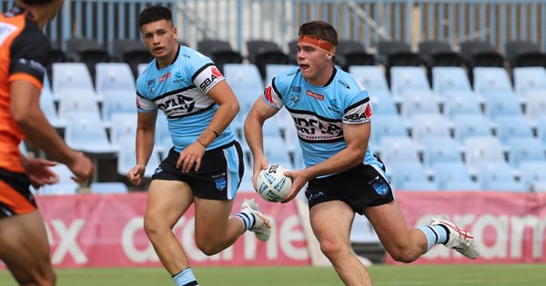 Junior Sharks off to a winning start | Sharks