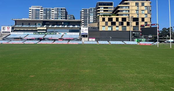 Grass is greener at Sharks Stadium after turf renovation | Sharks