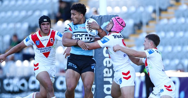 Six on the bounce for Flegg Sharks; Jets fall to Dragons | Sharks